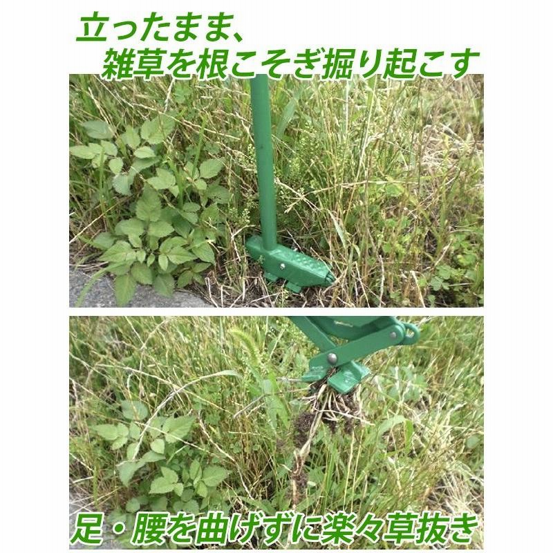 草取り 道具 庭 草むしり 草取 草抜き 雑草取り 草取り機 花壇 草取り 道具 庭 草むしり 草取 草抜き 雑草取り 草取り機 花壇