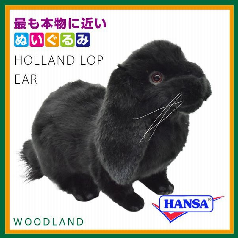 HANSA ハンサ ぬいぐるみ 8142 ホーランドロップ ブラック 兎 黒 HANSA ハンサ ぬいぐるみ 8142 ホーランドロップ ブラック 兎 黒